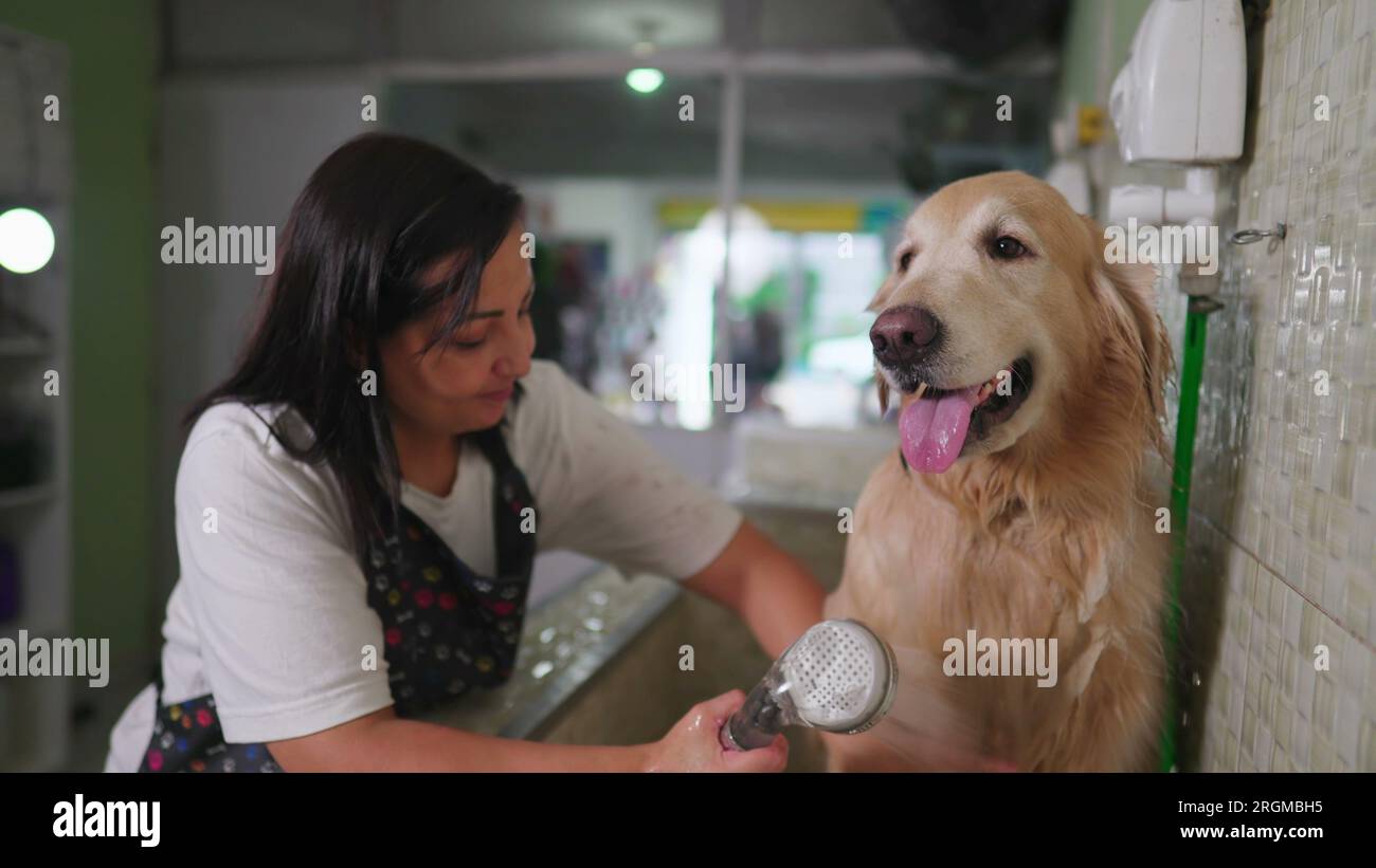 Happy Brazilian Employee Washing Dog at Pet Shop Stock Photo - Alamy