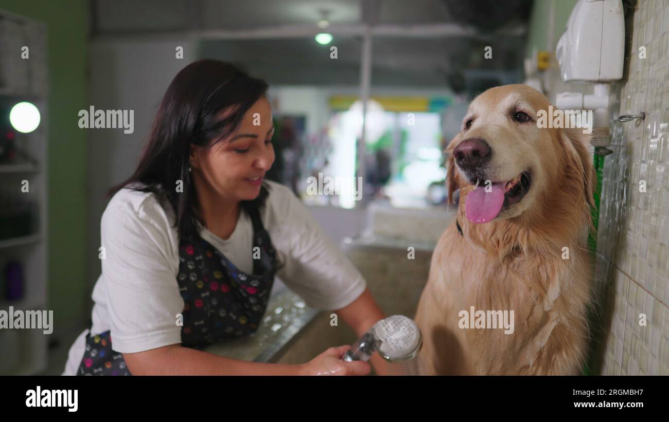 Happy Brazilian Employee Washing Dog at Pet Shop Stock Photo - Alamy