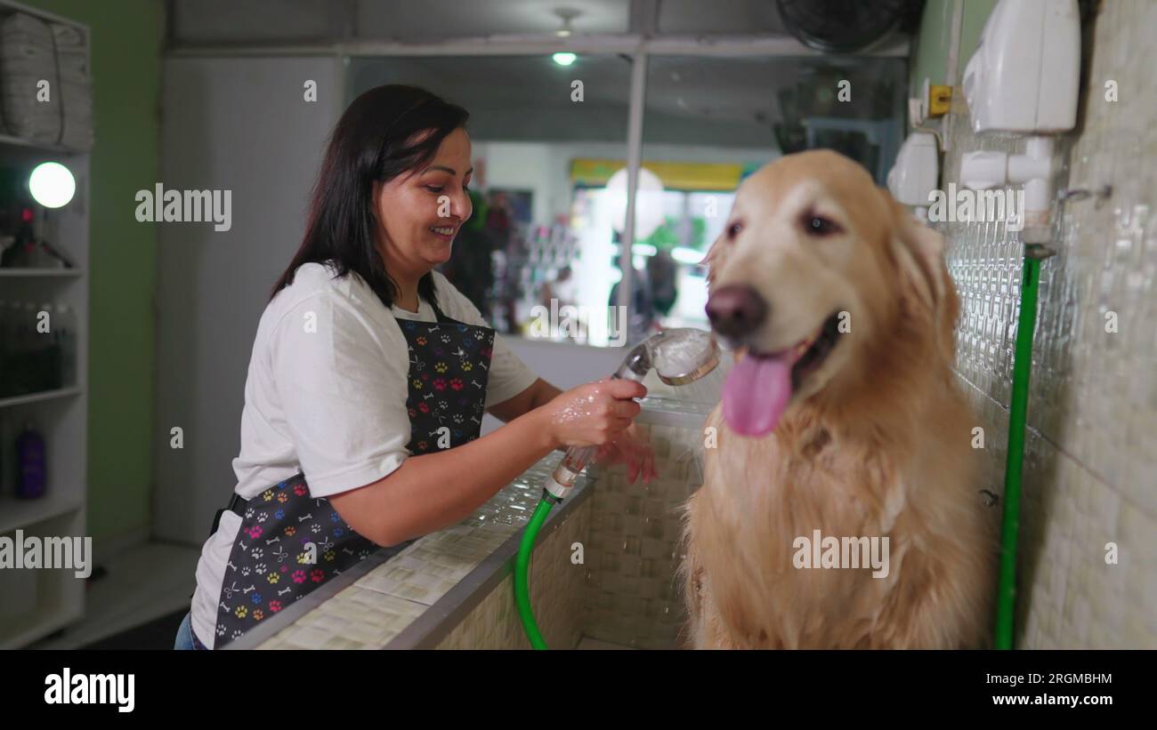 Happy Brazilian Employee Washing Dog at Pet Shop Stock Photo - Alamy