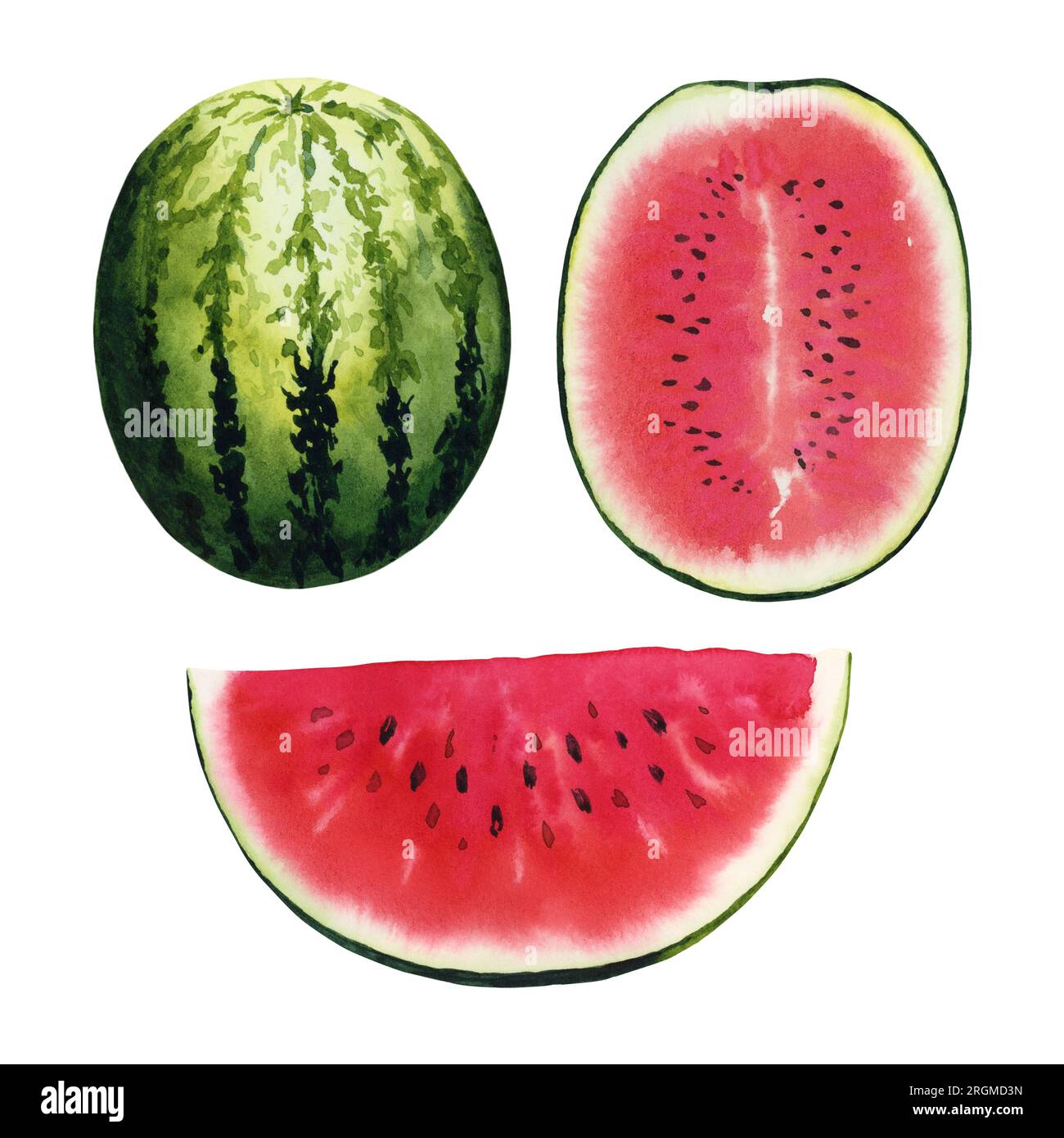 Ripe red watermelons set, hand drawn watercolor illustration isolated ...