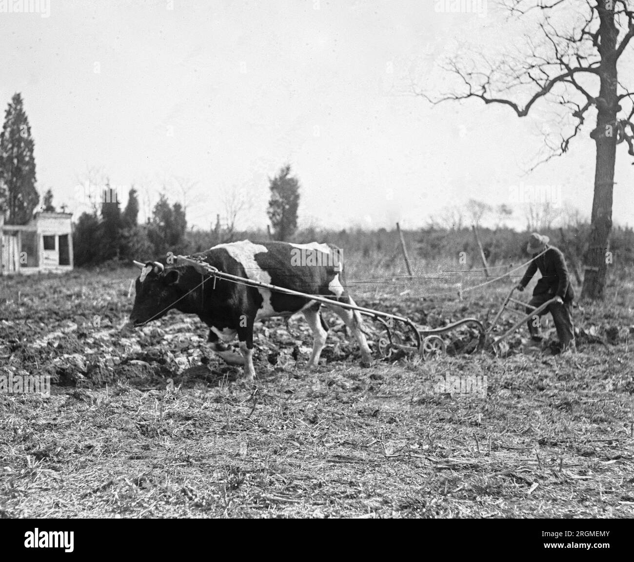 Farmer 1920s hi-res stock photography and images - Alamy
