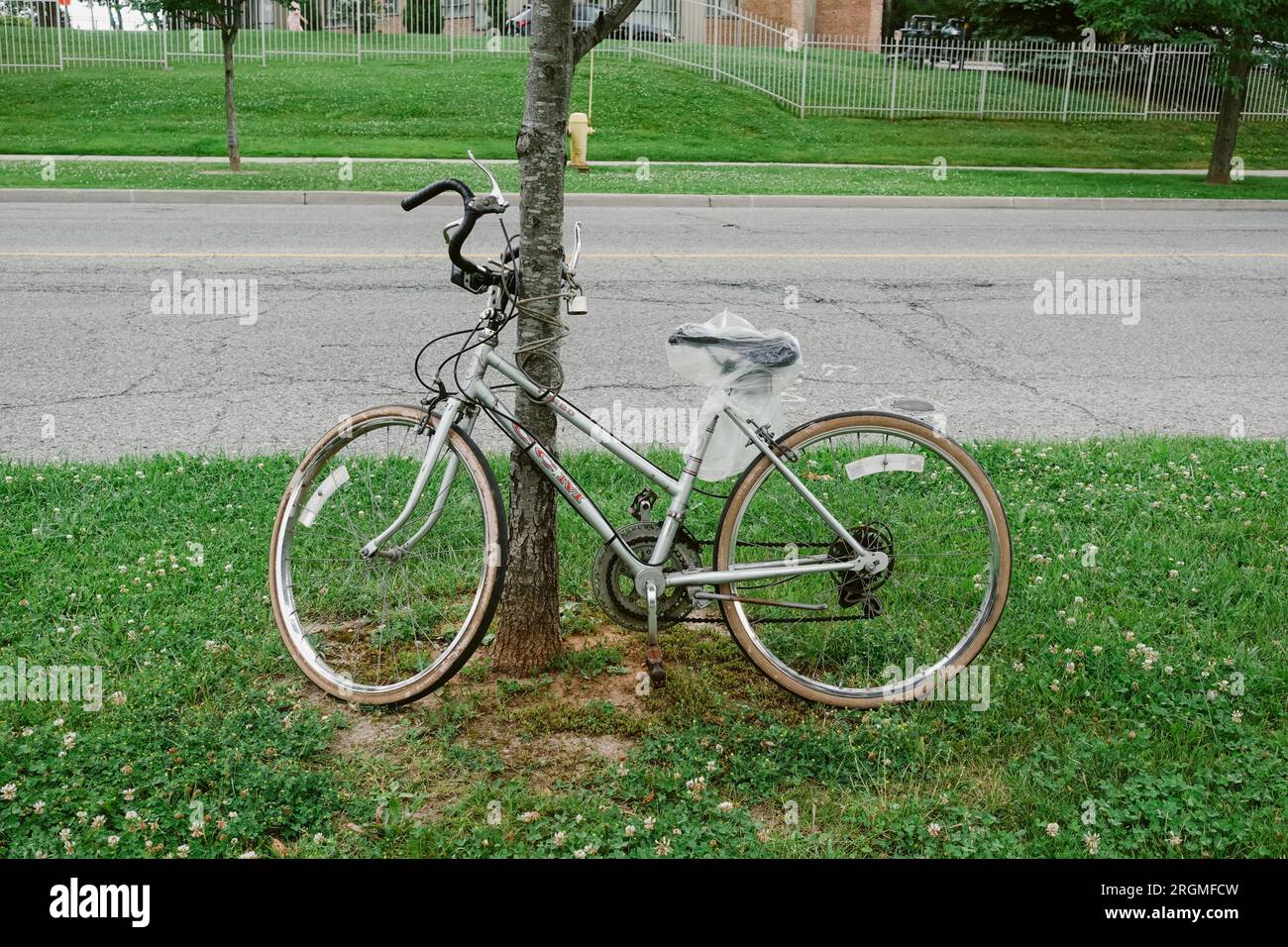 an old vintage bike locked to a tree Stock Photo - Alamy
