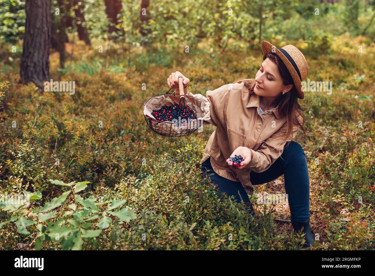 Hand picking blueberries putting in hi-res stock photography and images ...