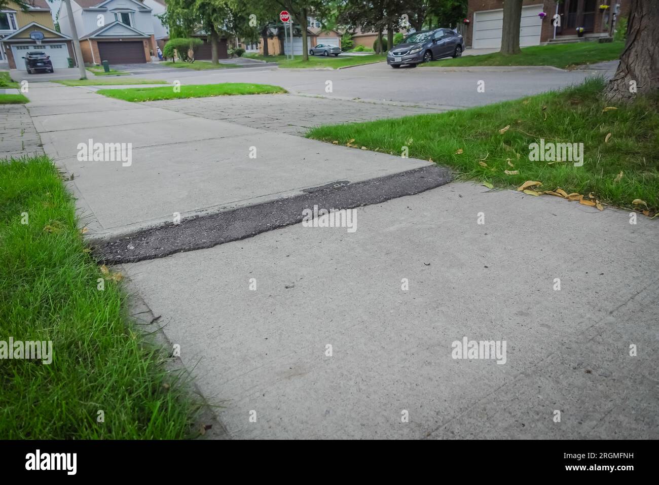 Tree roots causing damage hi-res stock photography and images - Alamy
