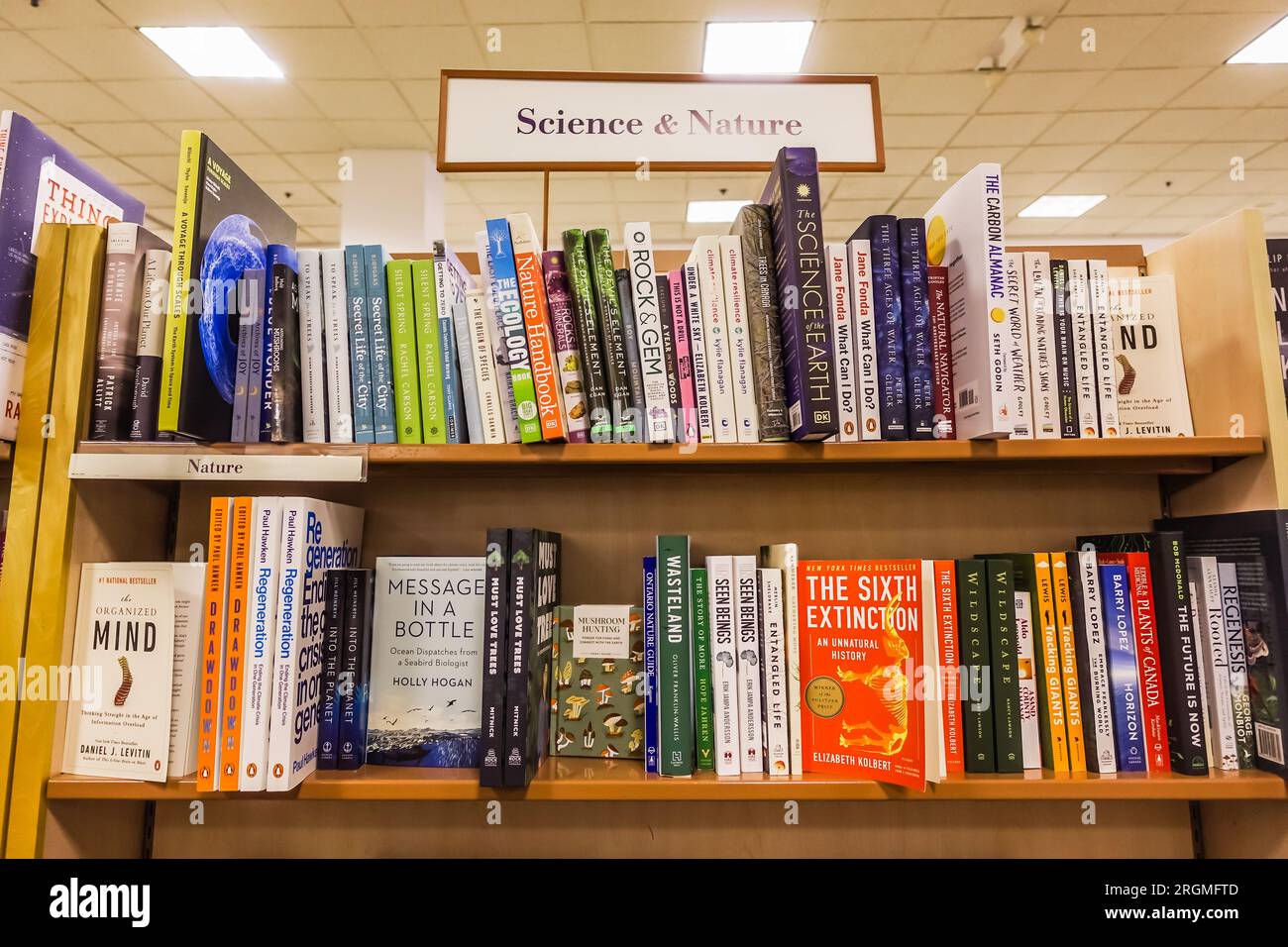 Bookshelf rows hi-res stock photography and images - Alamy