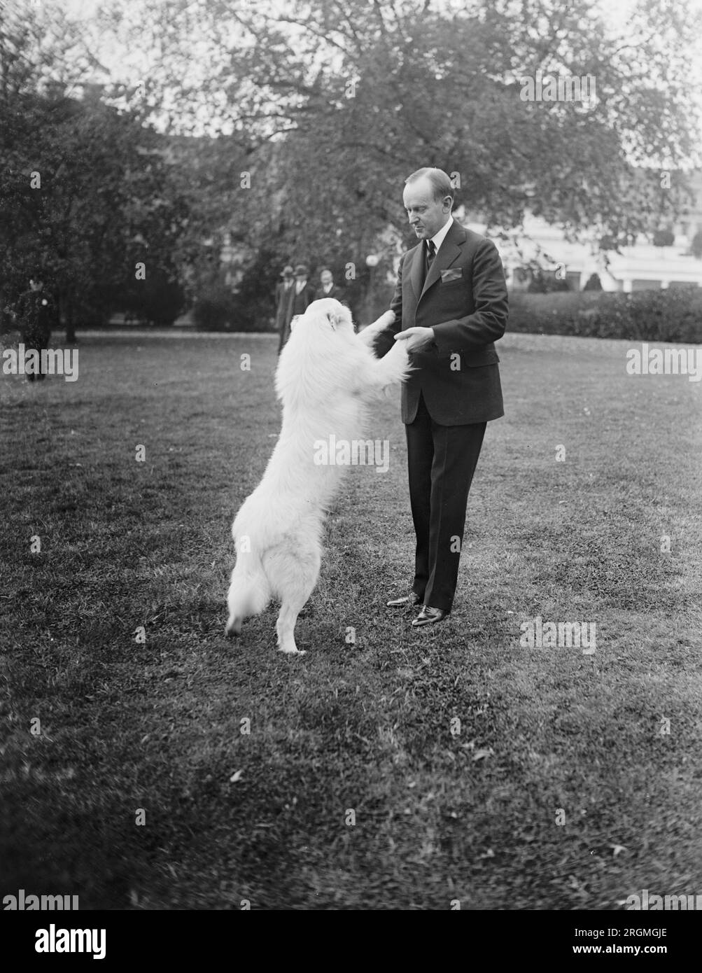 President Coolidge with his dog "Rob Roy" ca. 1924 Stock Photo - Alamy