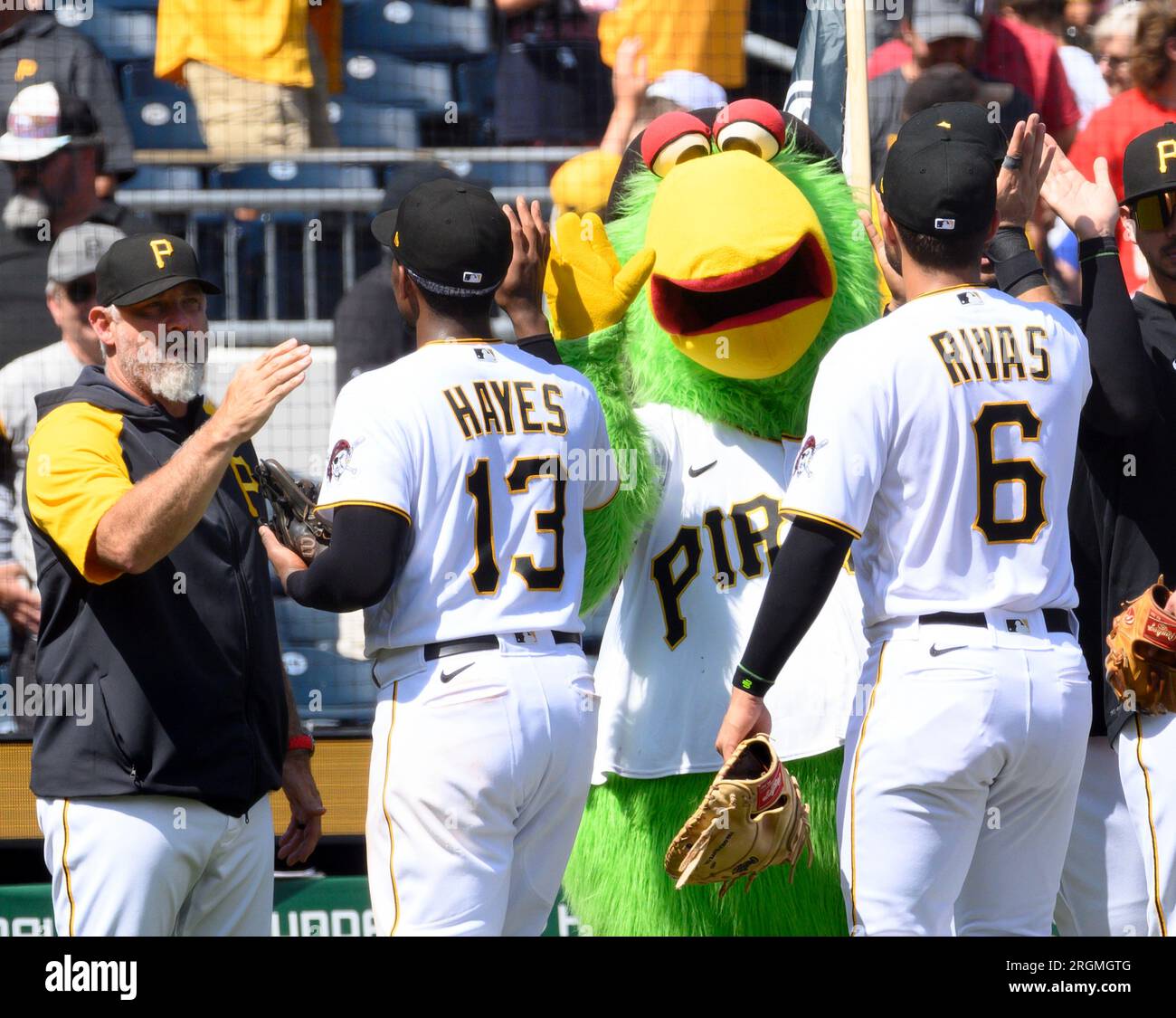 Pittsburgh pirates mascot hi-res stock photography and images - Alamy