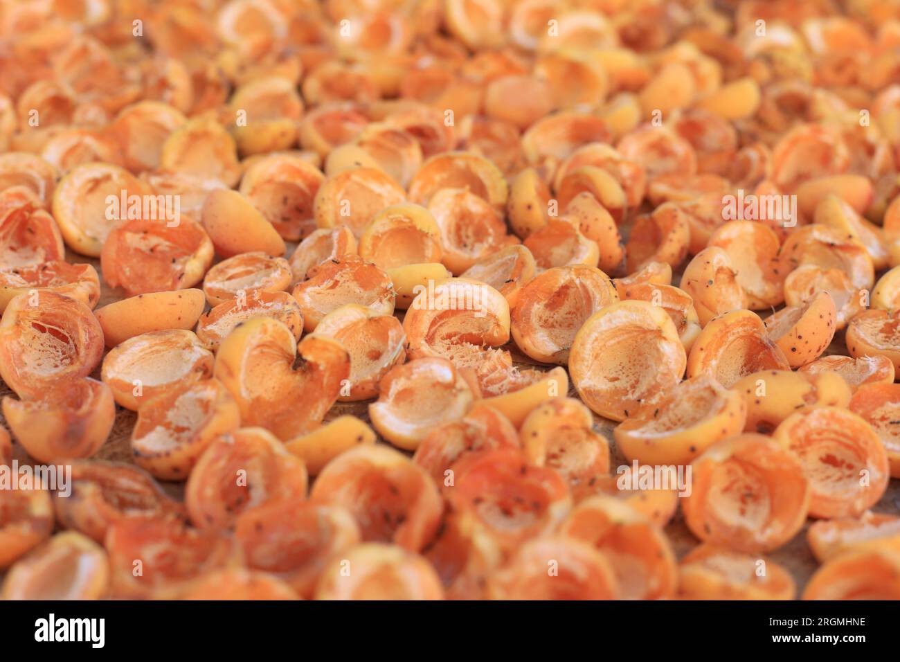 Apricot variety hi-res stock photography and images - Alamy
