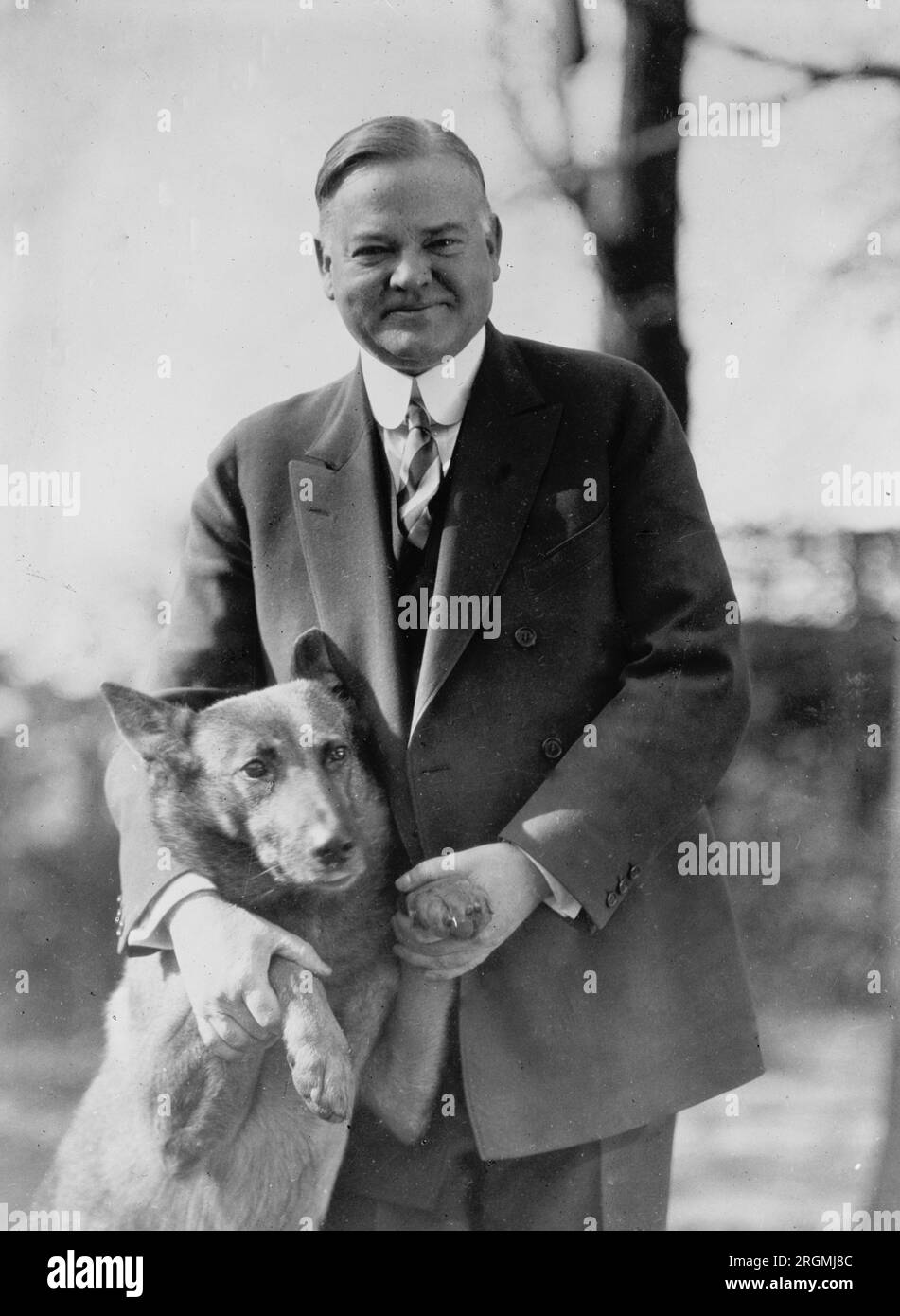Herbert Hoover with his dot King Tut ca. 1912-1930 Stock Photo - Alamy