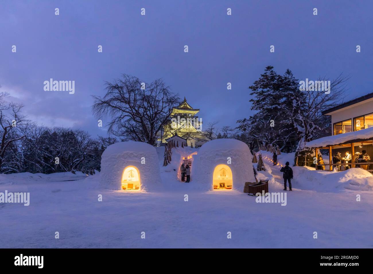 Kamakura, local winter festival, snow dome(igloo), water god's shrine ...