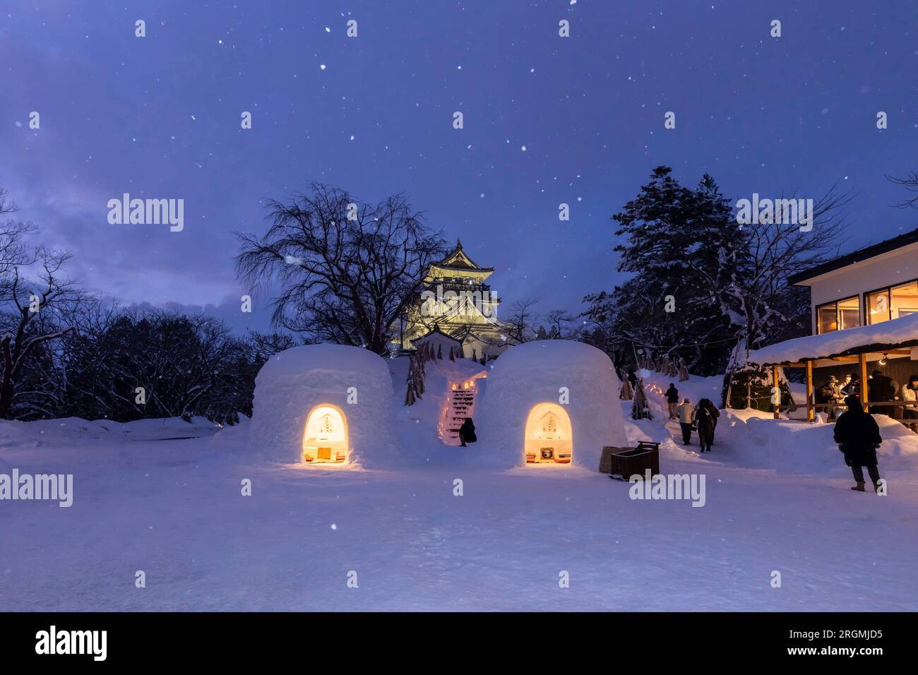 Kamakura, local winter festival, snow dome(igloo), water god's shrine ...