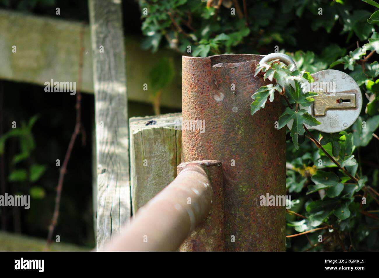 Padlocked rustic iron gate Stock Photo - Alamy