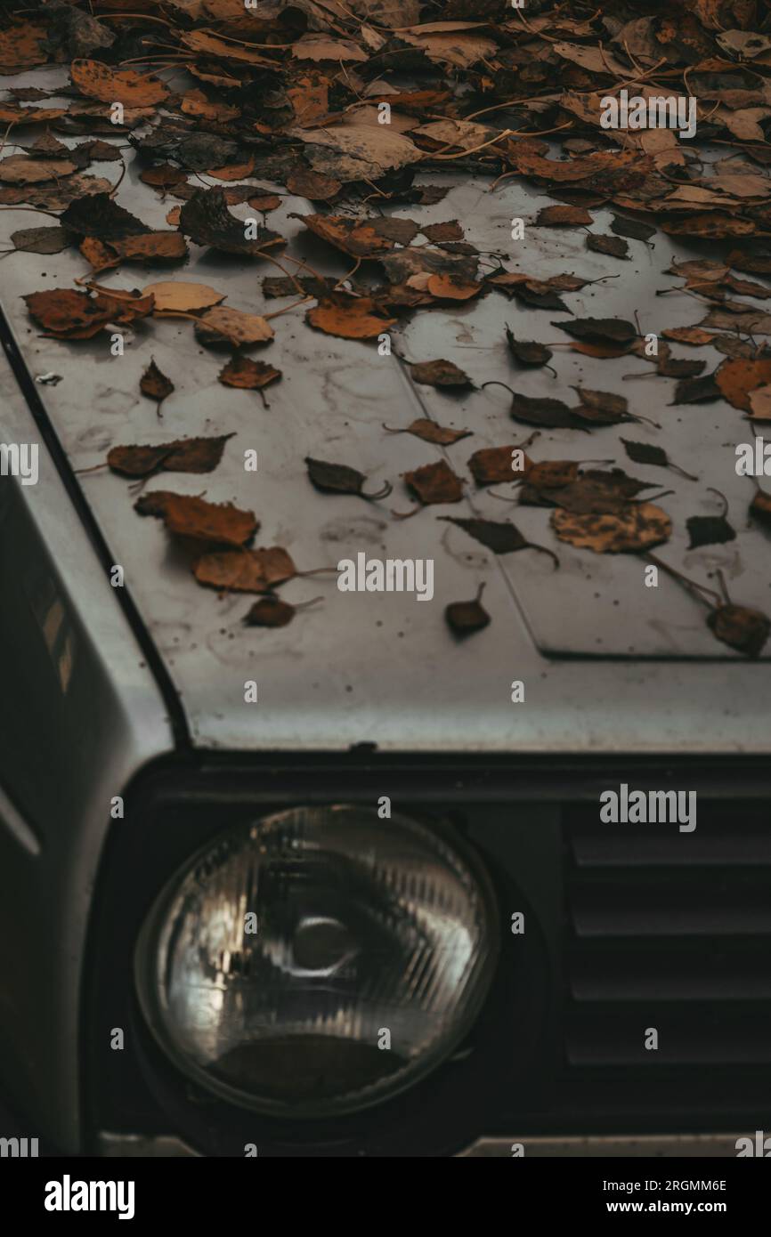 Fall aesthetic composition. Dirty bumper of the white car with fallen ...