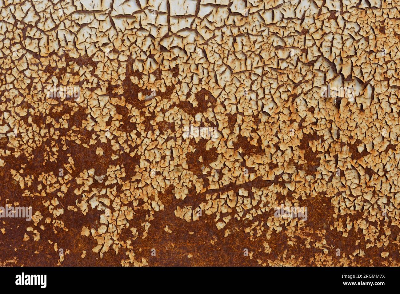 Brown and orange rust and dirt on white enamel plate. Rusted brown and ...