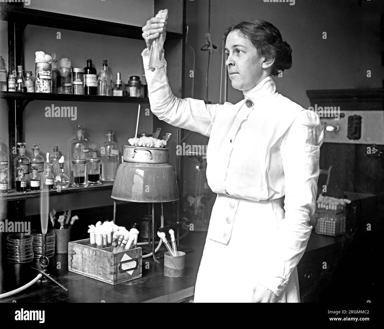 Woman studying microscopic organisms hi-res stock photography and ...