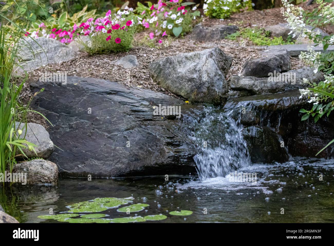 Landscape architecture featuring waterfalls and perennials for backyard ...