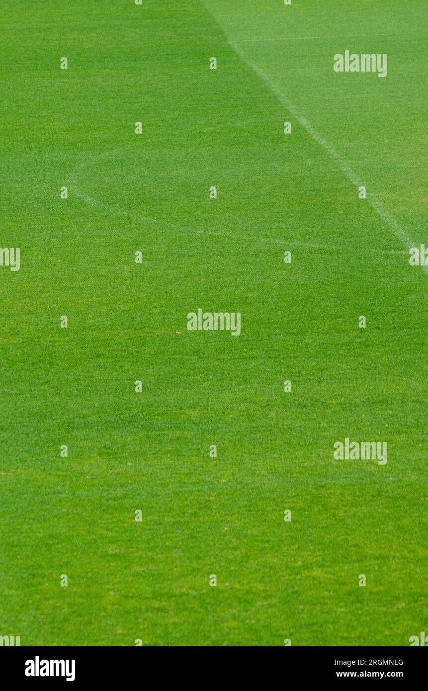 detail of a football field with non-marked lines Stock Photo - Alamy