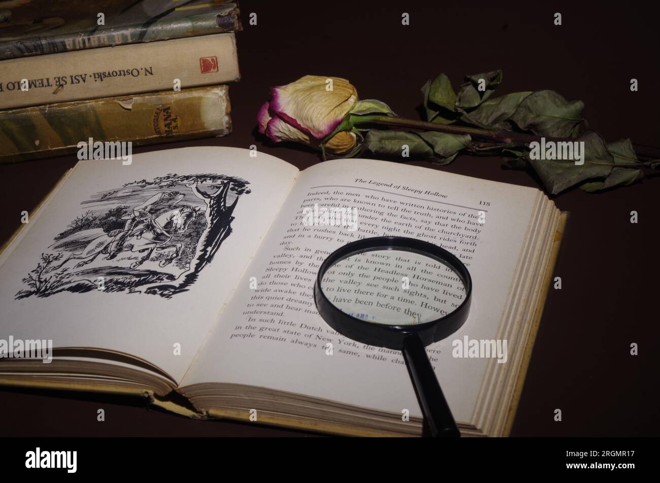 Magnifying lenses hi-res stock photography and images - Alamy