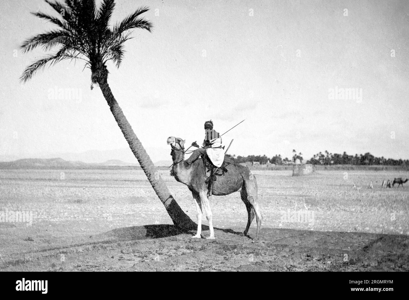 An Arab traveller on a camel in the Sahara Desert ca. 1918-1928 Stock ...