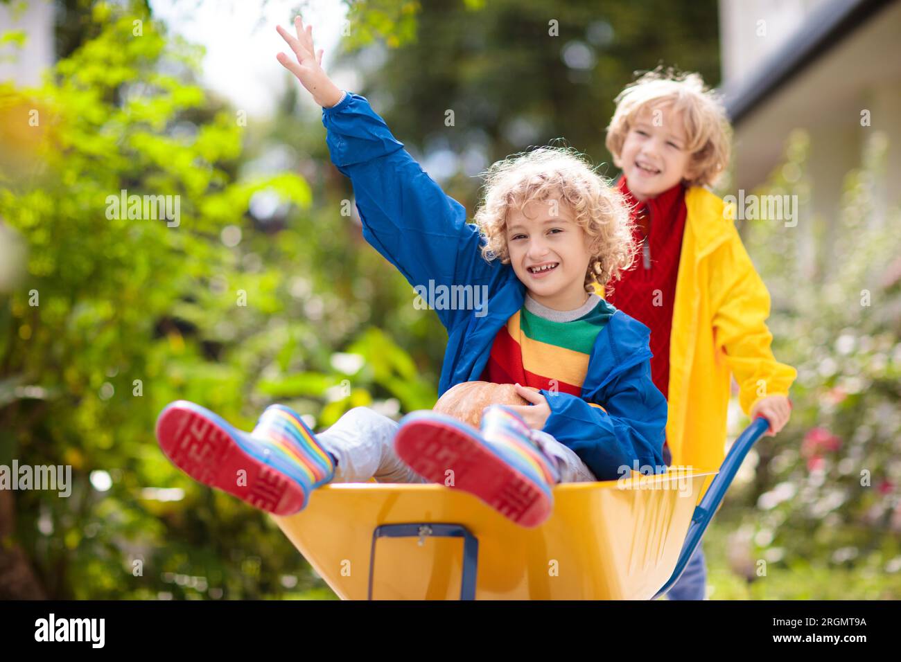 Kids in wheelbarrow on pumpkin patch. Autumn outdoor fun for children ...