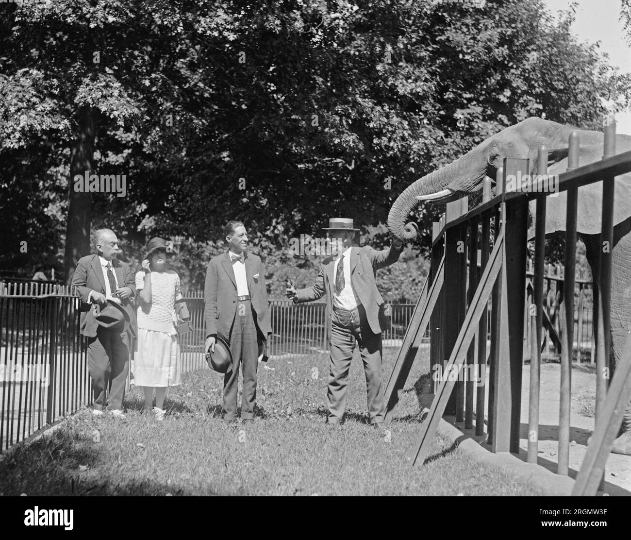 Men and women at a zoo next to an elephant enclosure ca. 1922 Stock ...