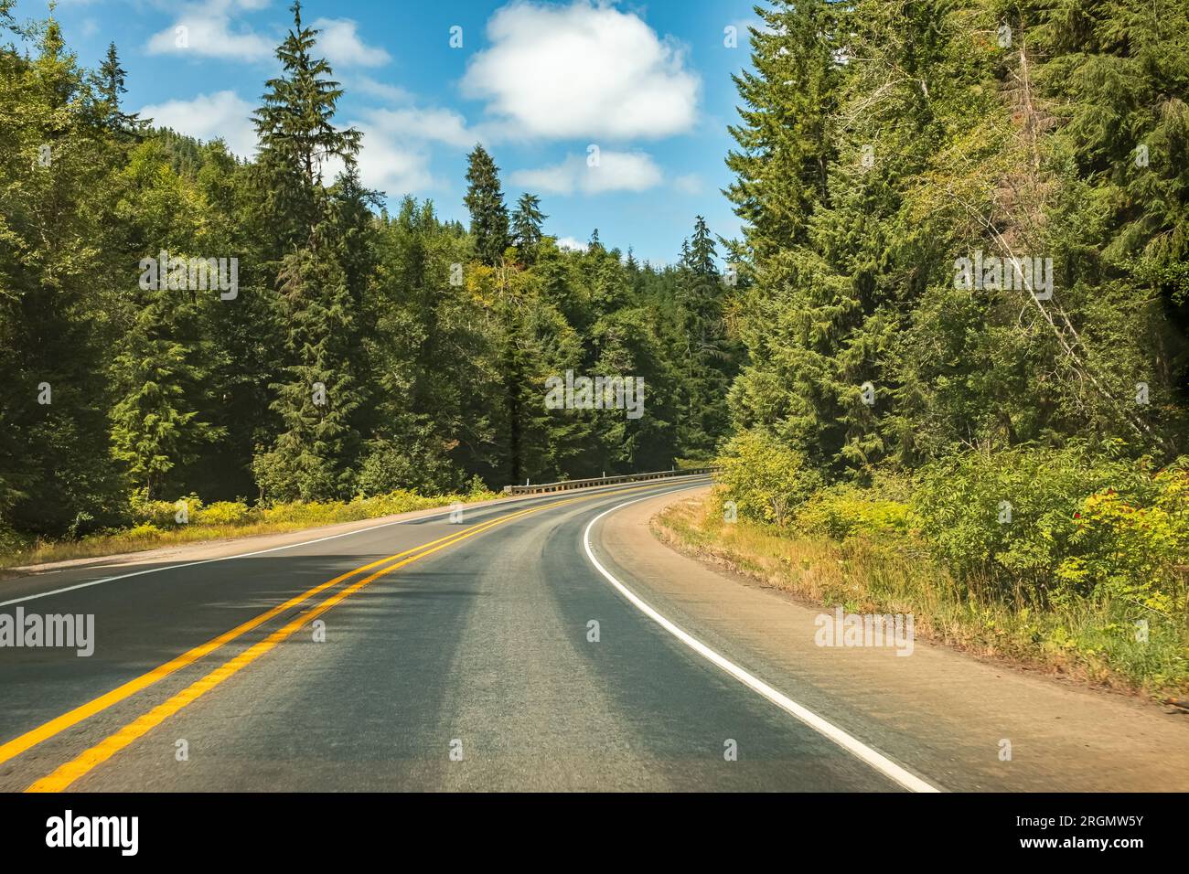 Road in summer forest. Beautiful mountain roadway, trees with green ...