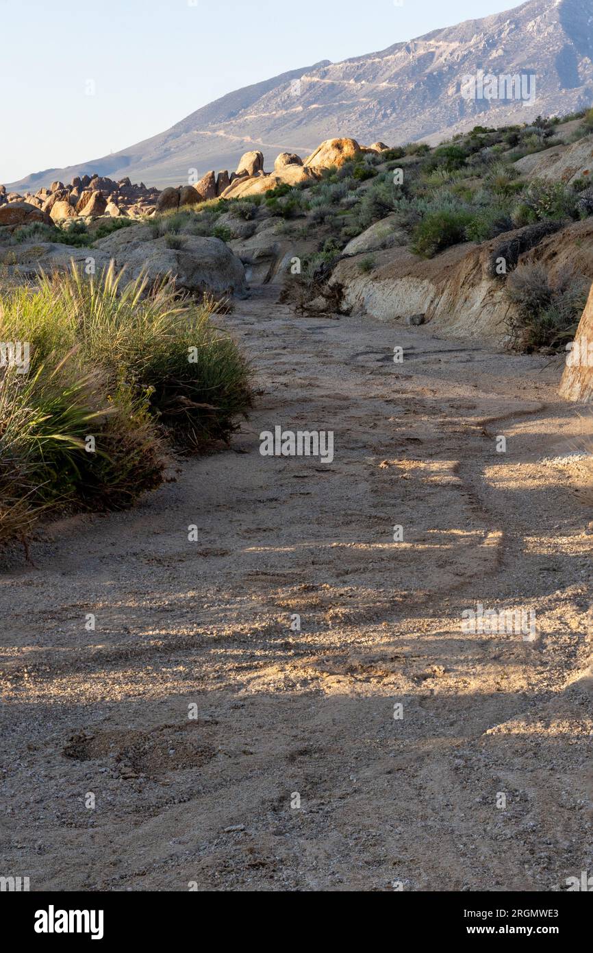 Wash down area hi-res stock photography and images - Alamy