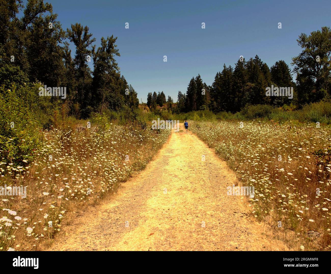 A walk in nature Stock Photo - Alamy