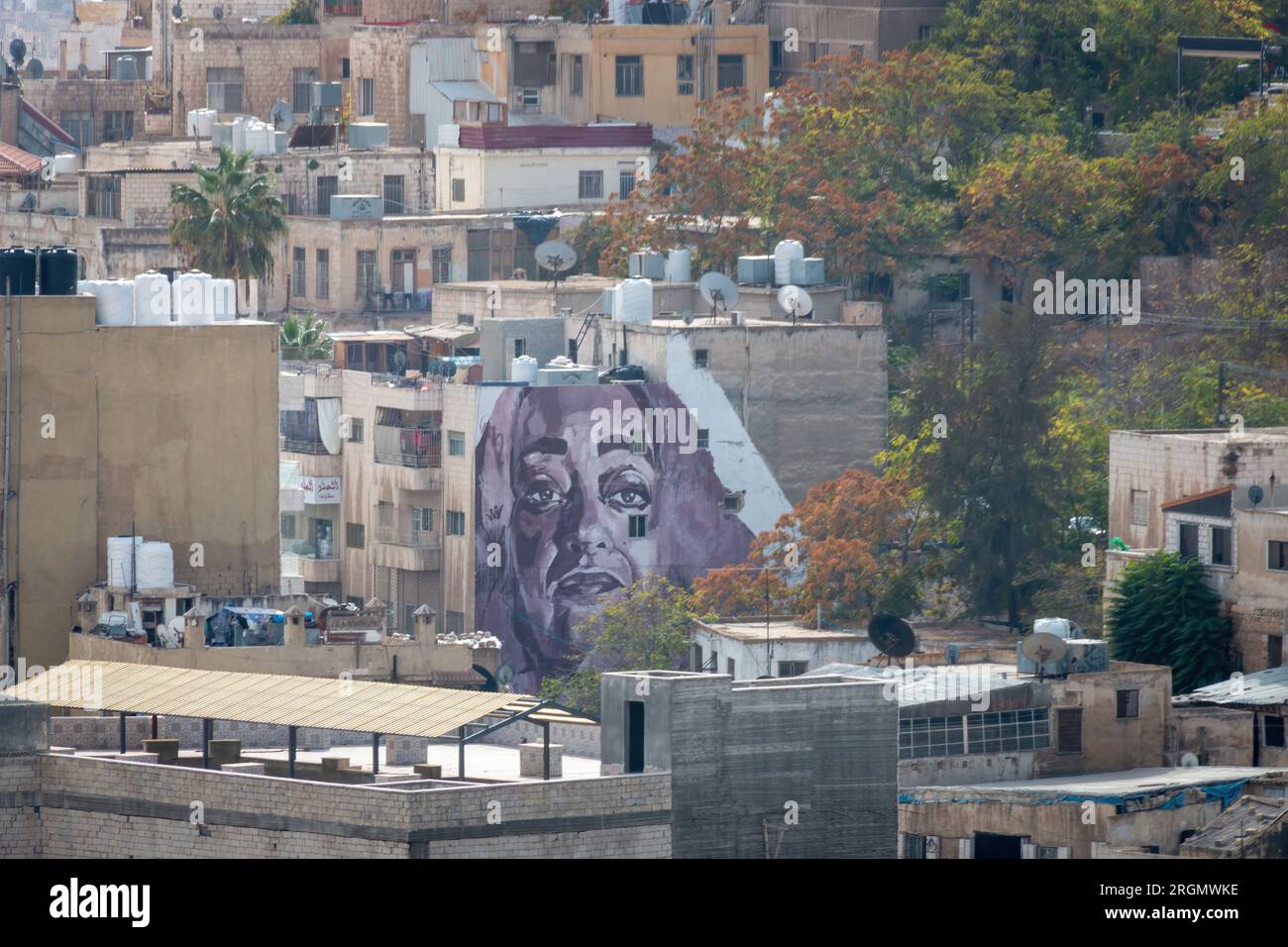 Amman, Jordan - November 1, 2021: Huge mural on the facade of a ...
