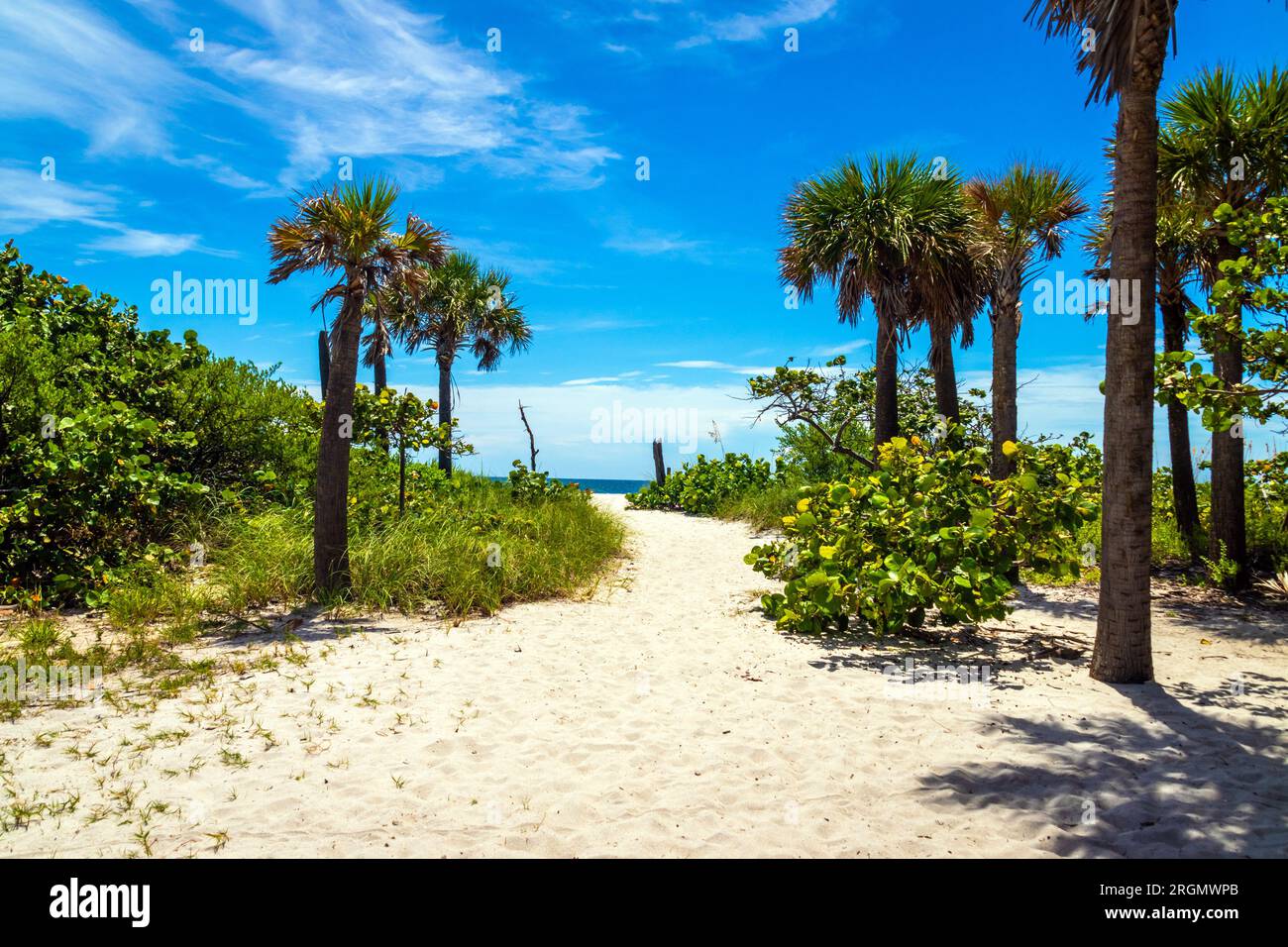What to do in dania beach hi-res stock photography and images - Alamy