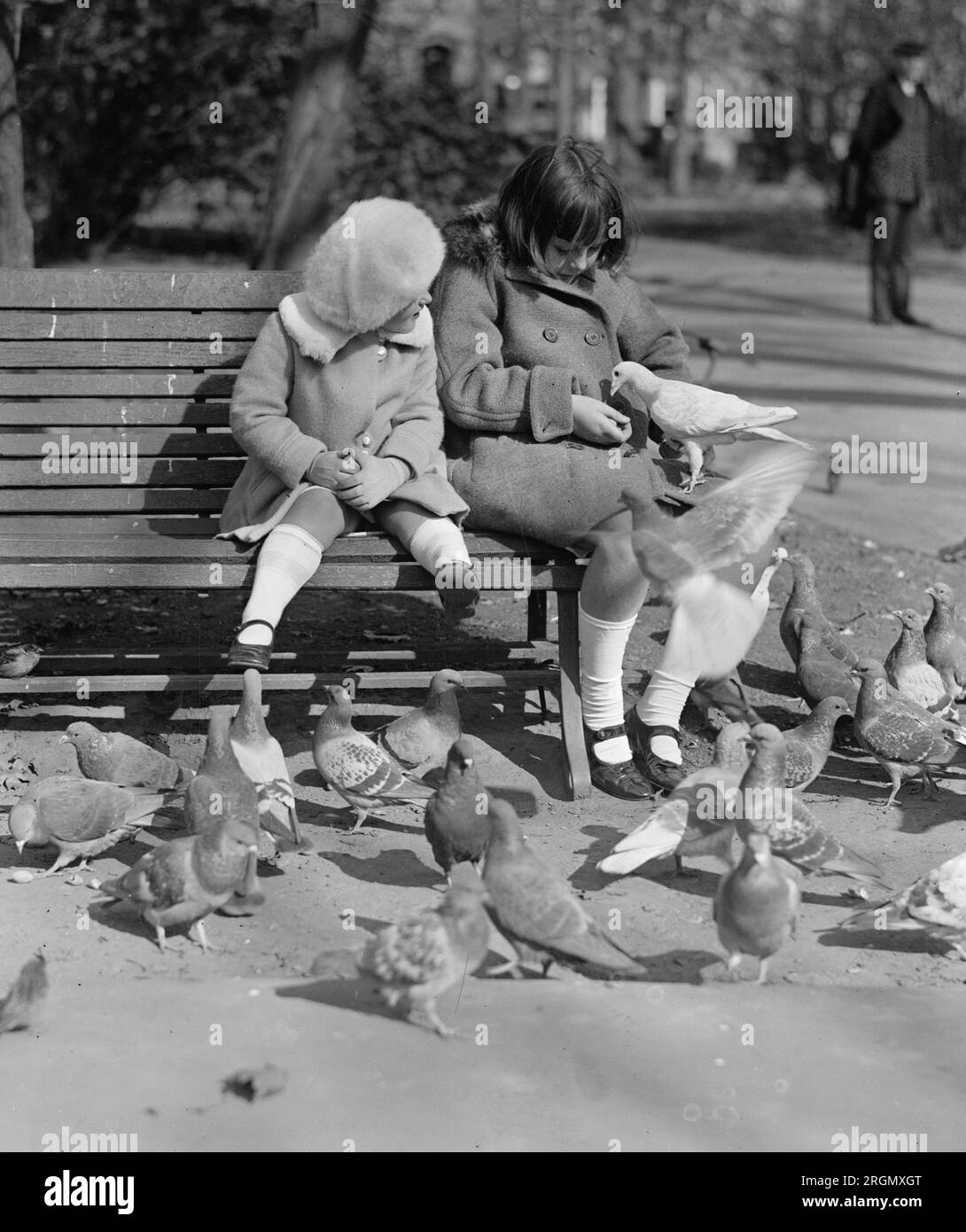 Children sitting on a park bench feeding pigeons ca. 1923 Stock Photo ...