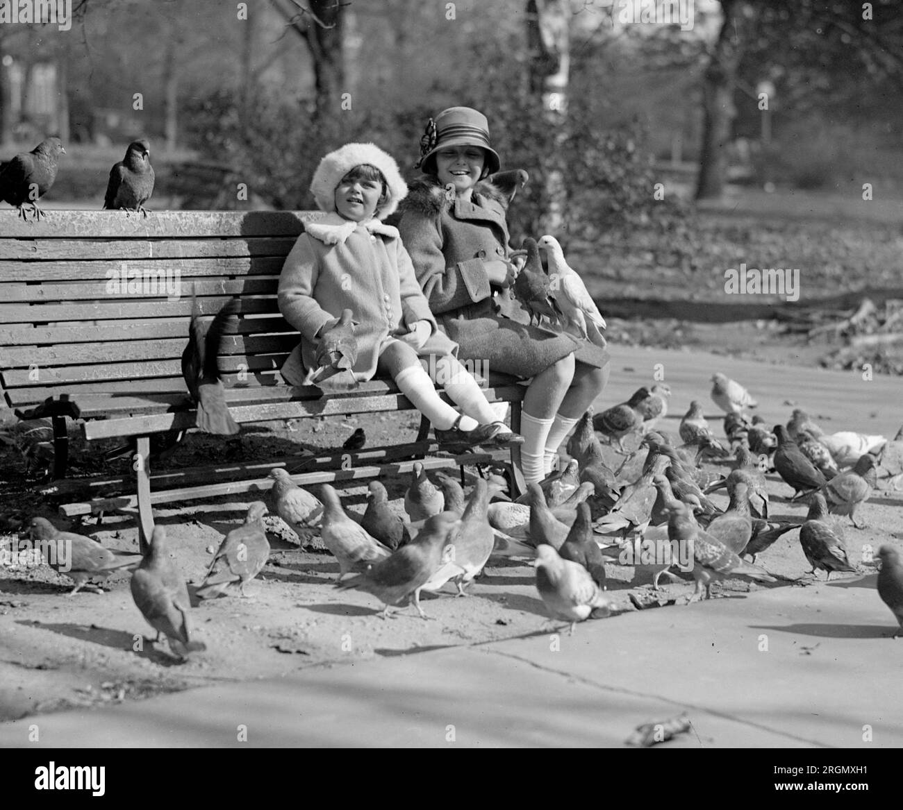 Children sitting on a park bench feeding pigeons ca. 1923 Stock Photo ...