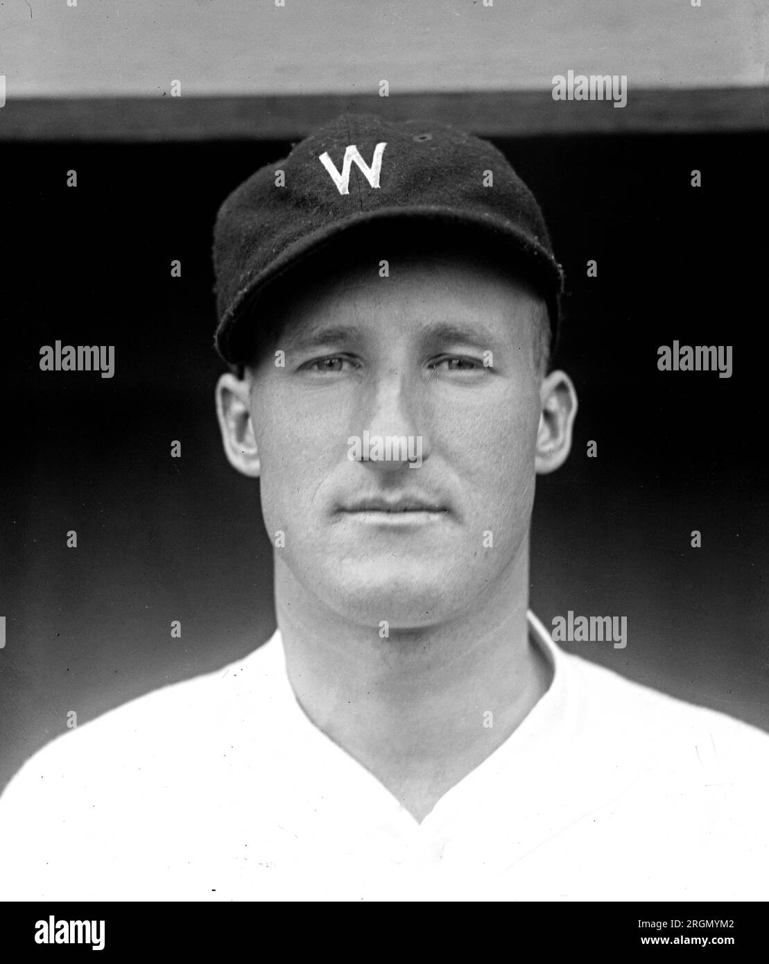 Goose goslin hi-res stock photography and images - Alamy