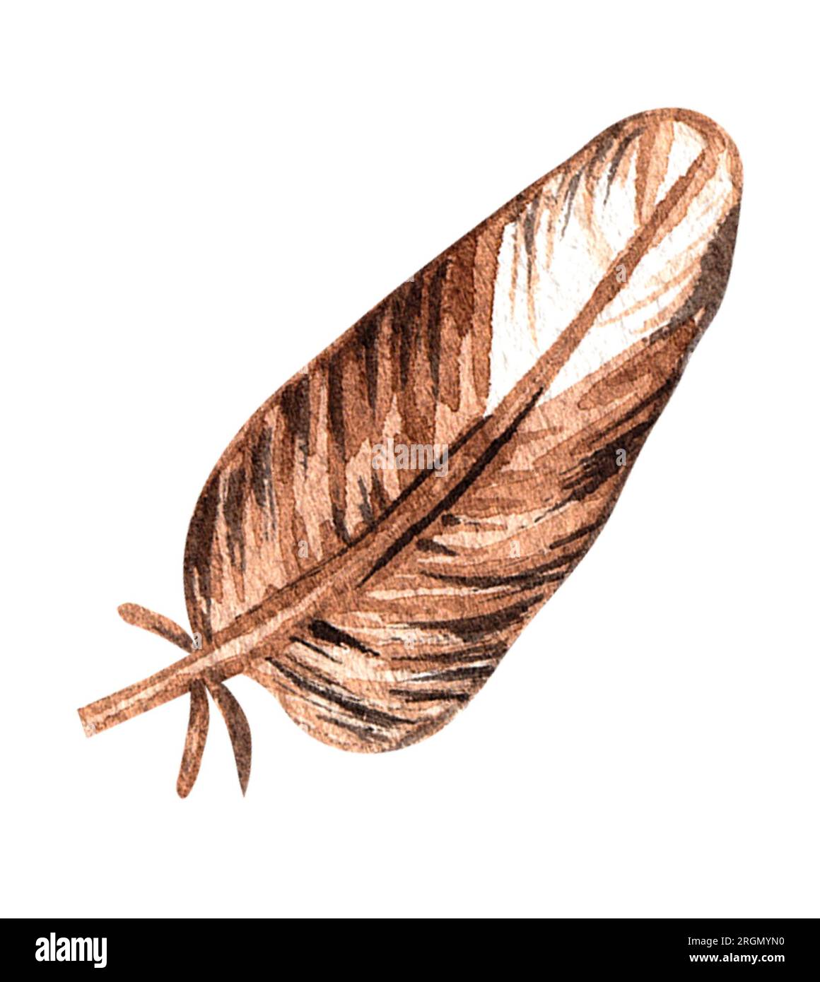 Watercolor brown hand drawn feather. Bird feather isolated on white ...