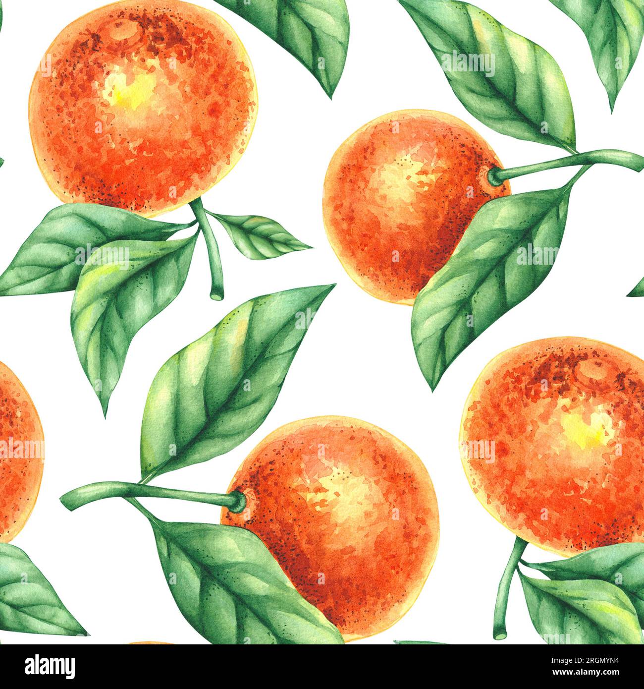 Watercolor tangerine hand-drawn seamless pattern. Citrus fruits with ...