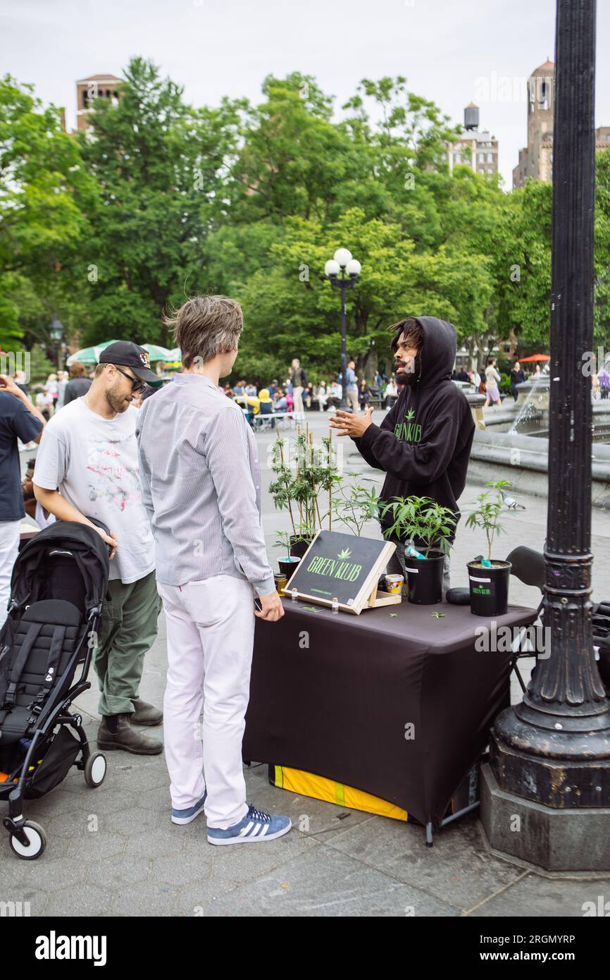 Cannabis weed vendor seller in Washington Square Park Stock Photo - Alamy