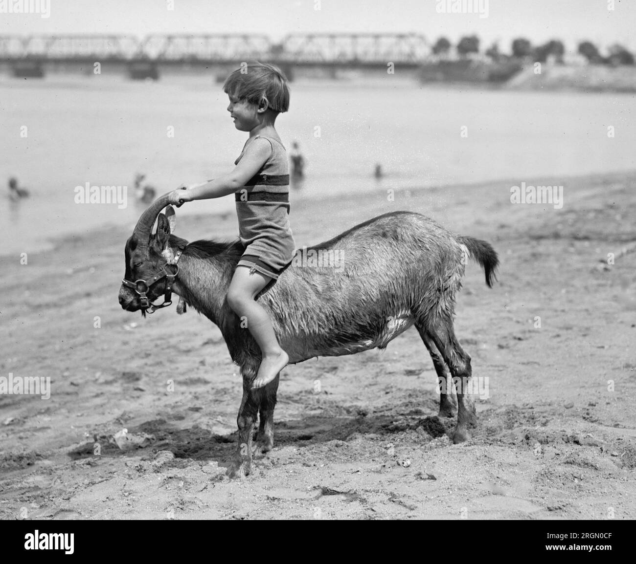 Young boy riding a goat on a beach ca. 1924 Stock Photo - Alamy