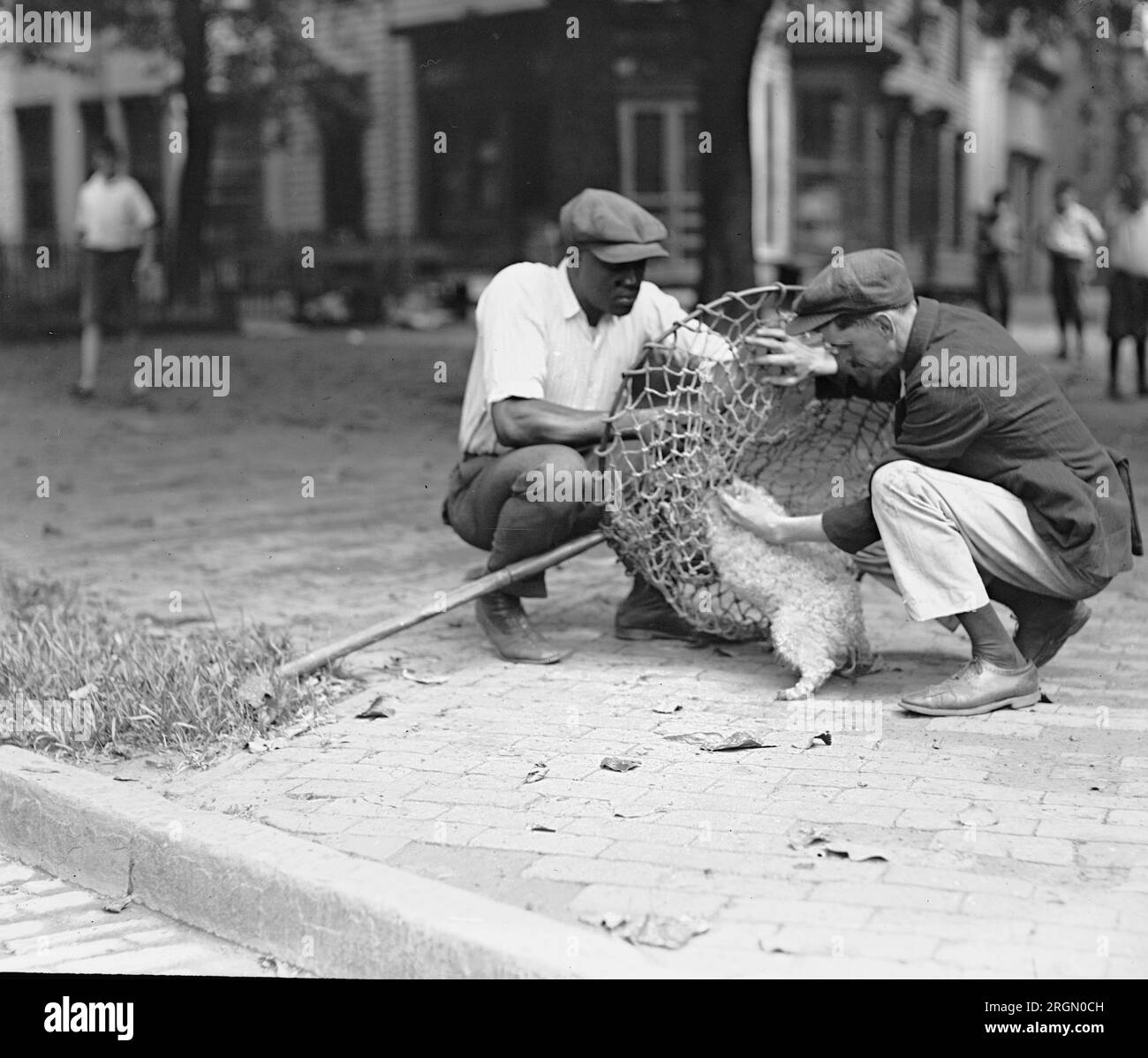 Two dog catchers with a dog in their net ca. 1924 Stock Photo - Alamy