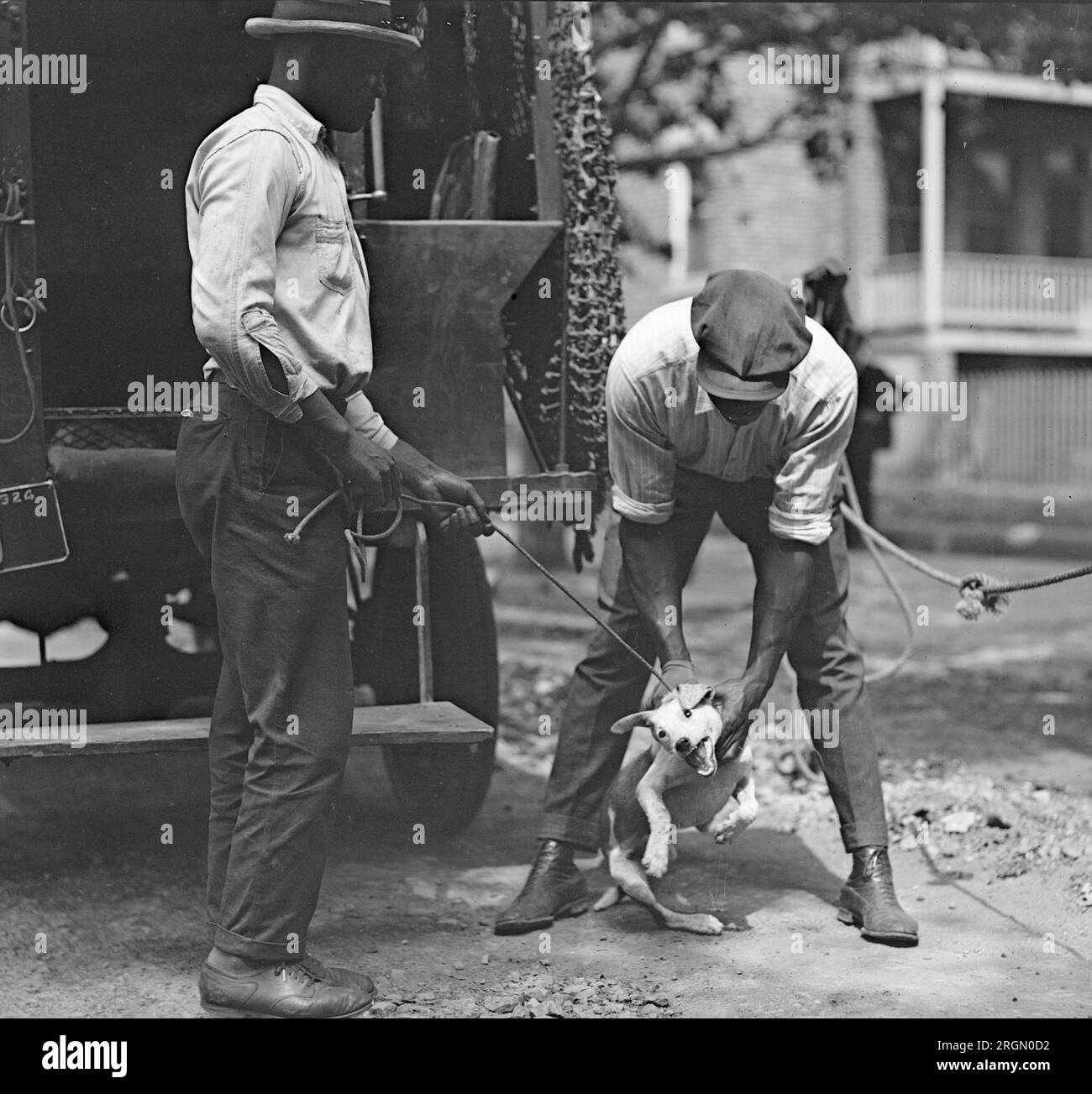 A dog catcher capturing a loose dog ca. 1924 Stock Photo - Alamy