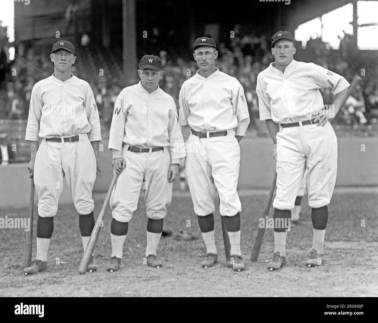 Real nemo hi-res stock photography and images - Alamy