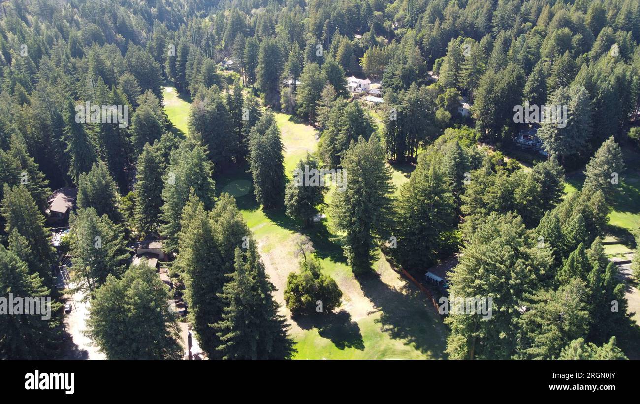 Redwood trees aerial hi-res stock photography and images - Alamy