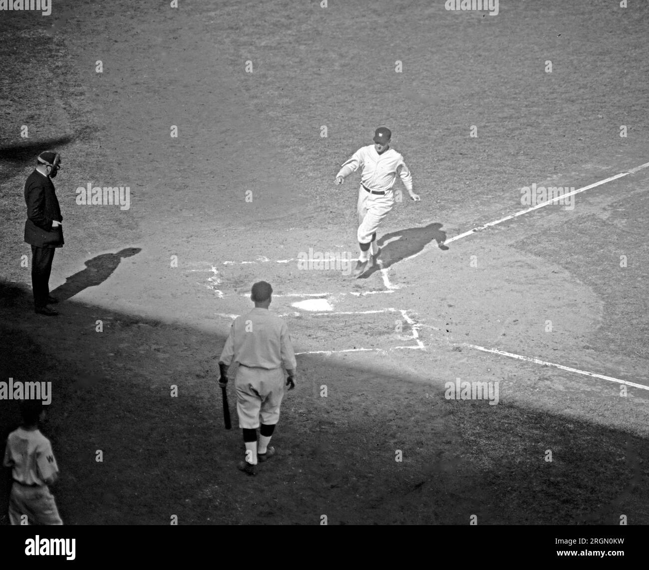 Goslin hi-res stock photography and images - Alamy