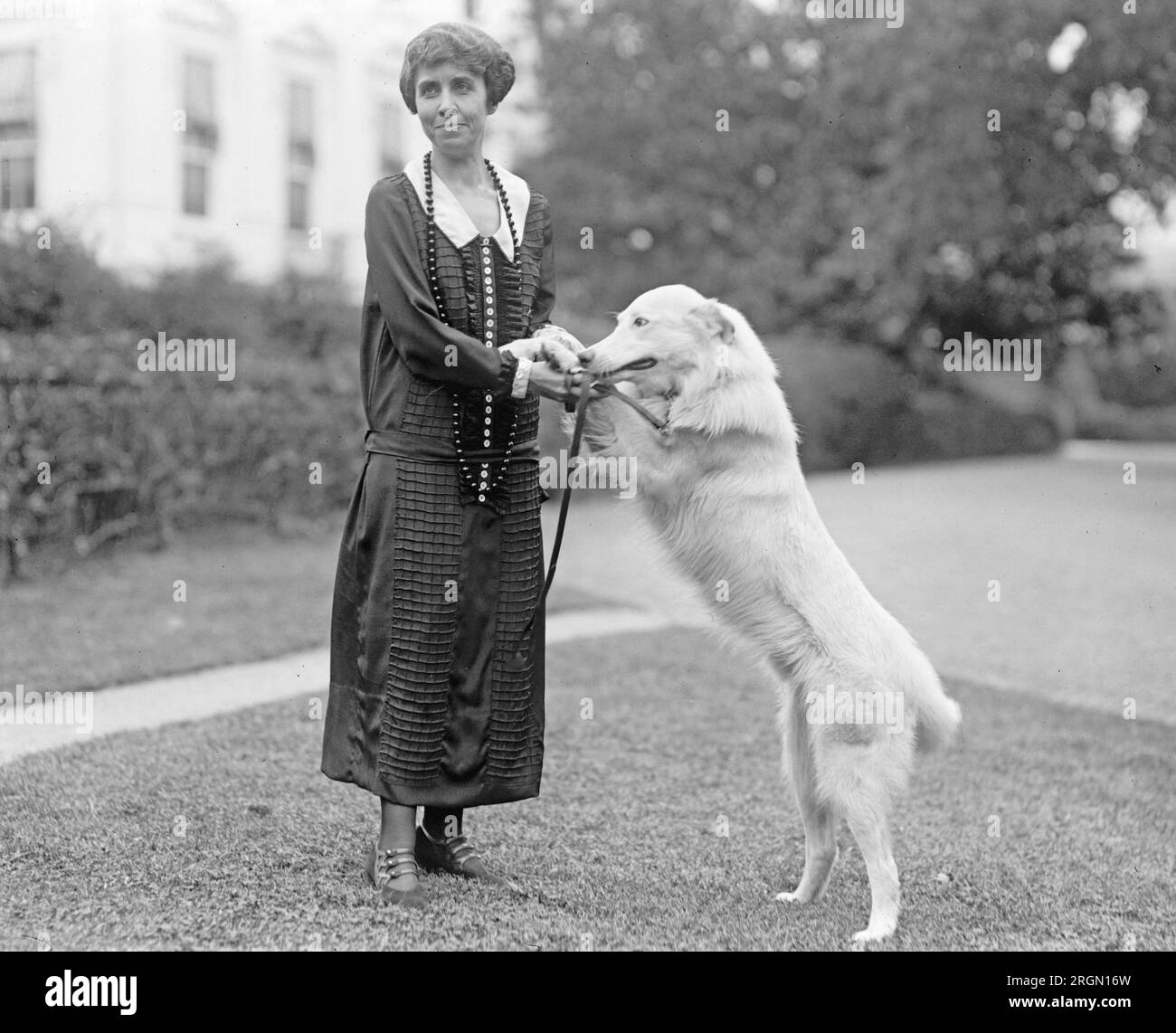 Mrs. Coolidge with her dog "Rob Roy" ca. 1924 Stock Photo - Alamy
