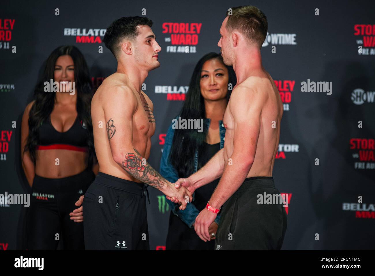 Blockhus hi-res stock photography and images - Alamy