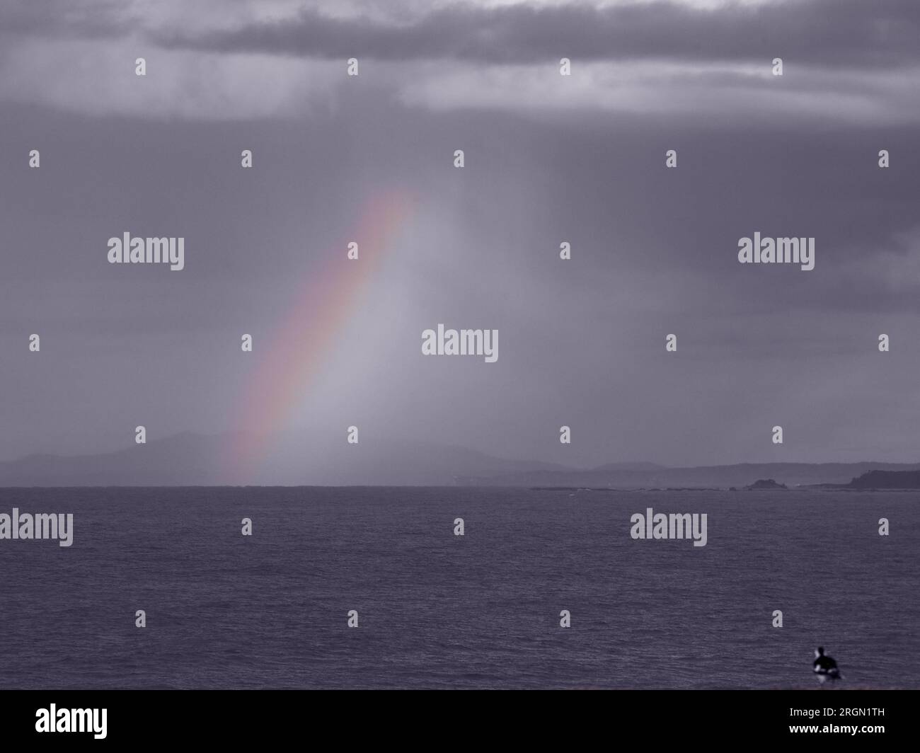 Beautiful rainbow edit on purple tint Monochrome background Stock Photo ...