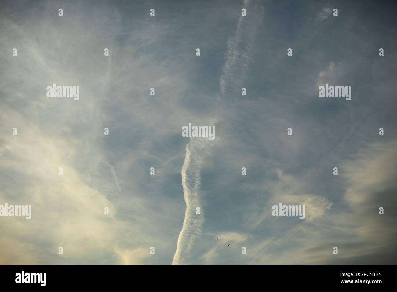 Clouds in sky. Light clouds. Sky texture. Weather details Stock Photo ...