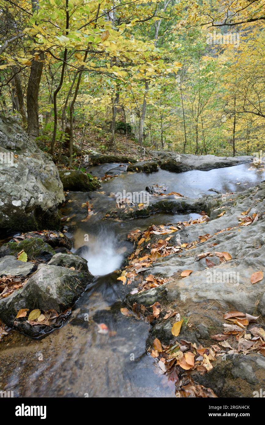 Crest of a waterfall on Land's Run Trail, Shenandoah National Park ...