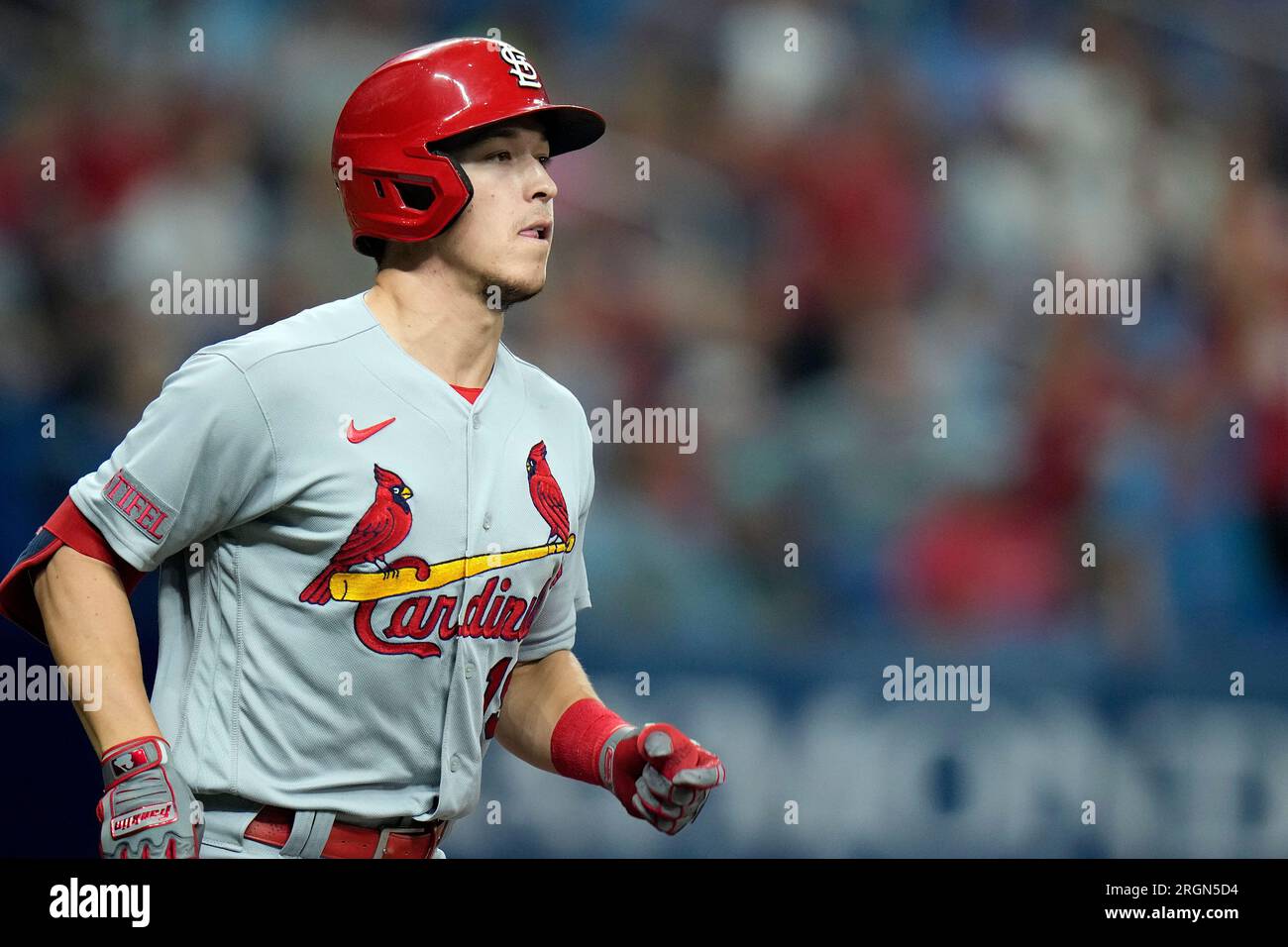 St. Louis Cardinals' Tommy Edman watches the flight of his solo home ...