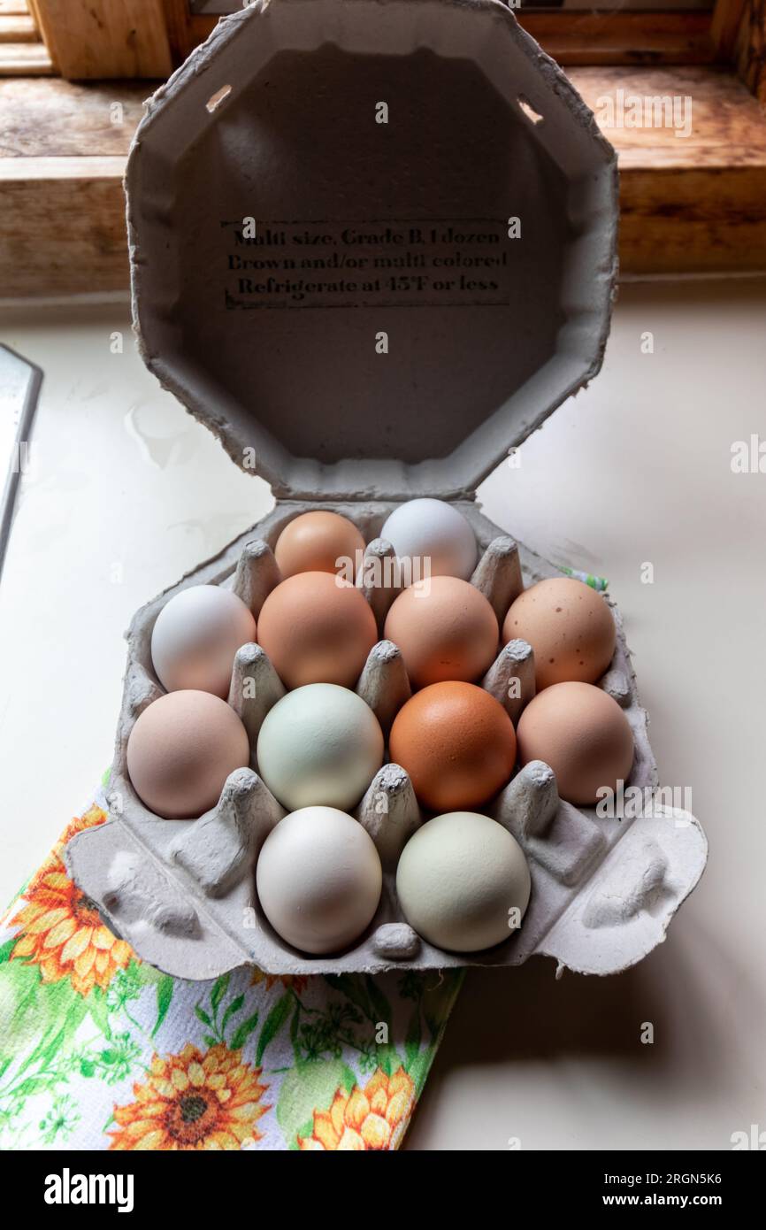 Farm Fresh free range organic dozen rainbow chicken eggs on display in ...