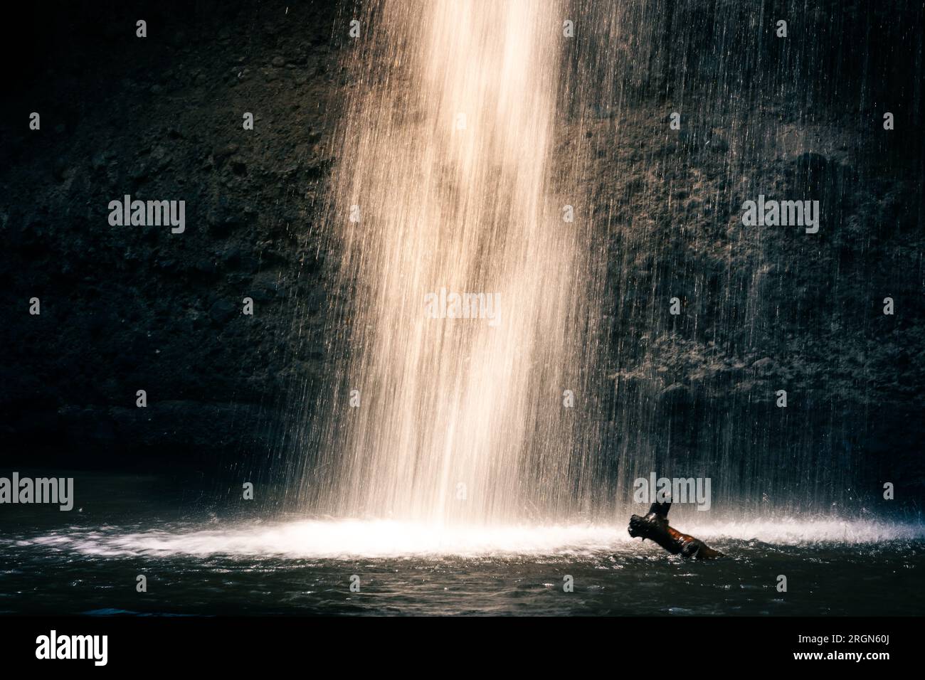 Splashing waterfall with bright sunlight drop on pond with dark cave ...